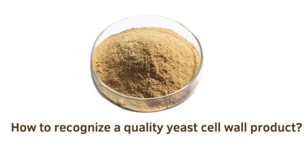 How to recognize a quality yeast cell wall product? – Hiyeast